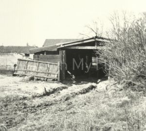 Newham Bridge Farm, Acklam (1960) - My Town My Future
